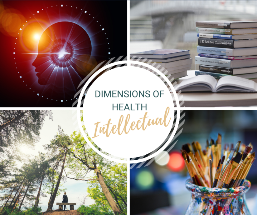 What is intellectual health? – You Matter Too